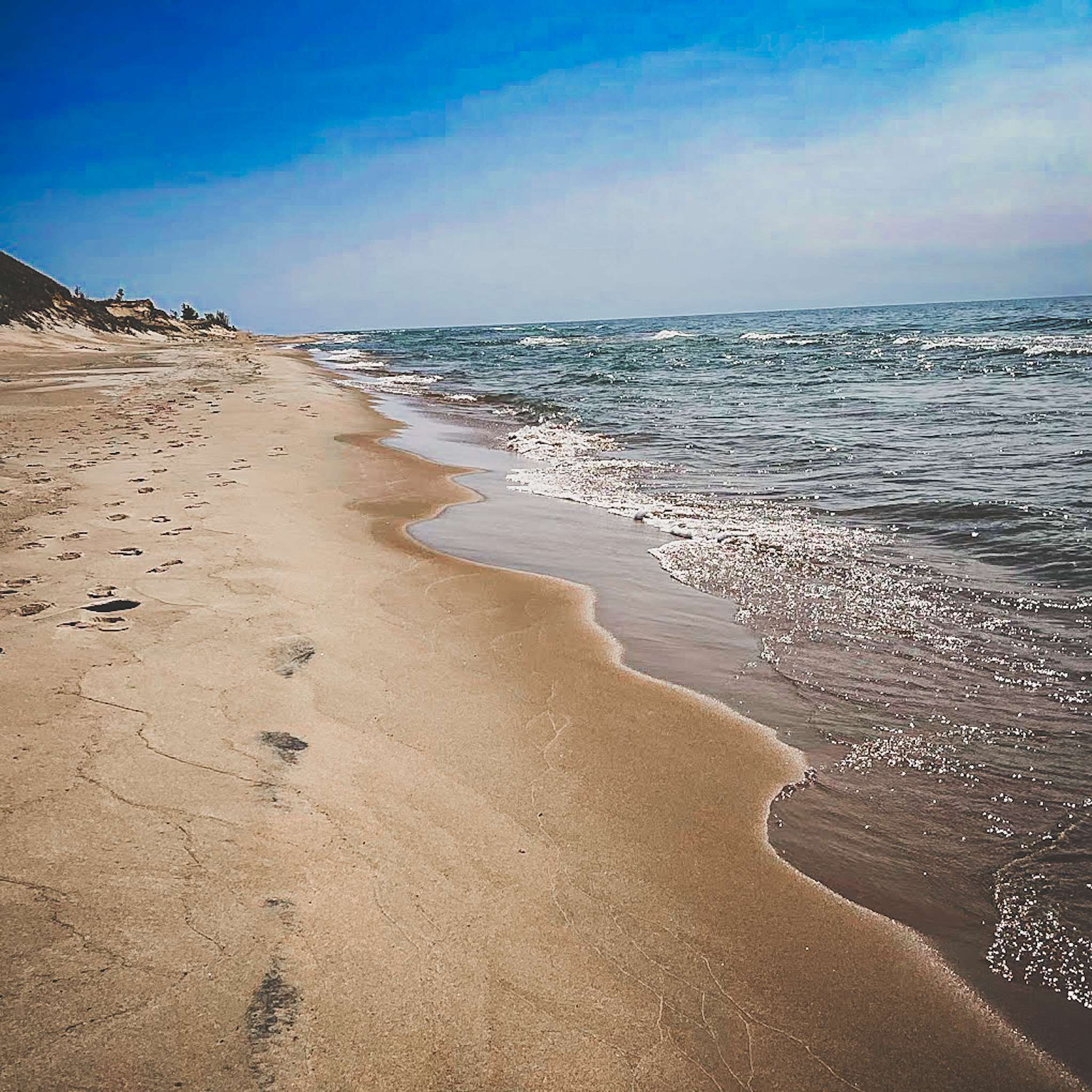 Dive Into Fun: Top Must-Visit Beaches in Michigan – Part One - PULSE of ...